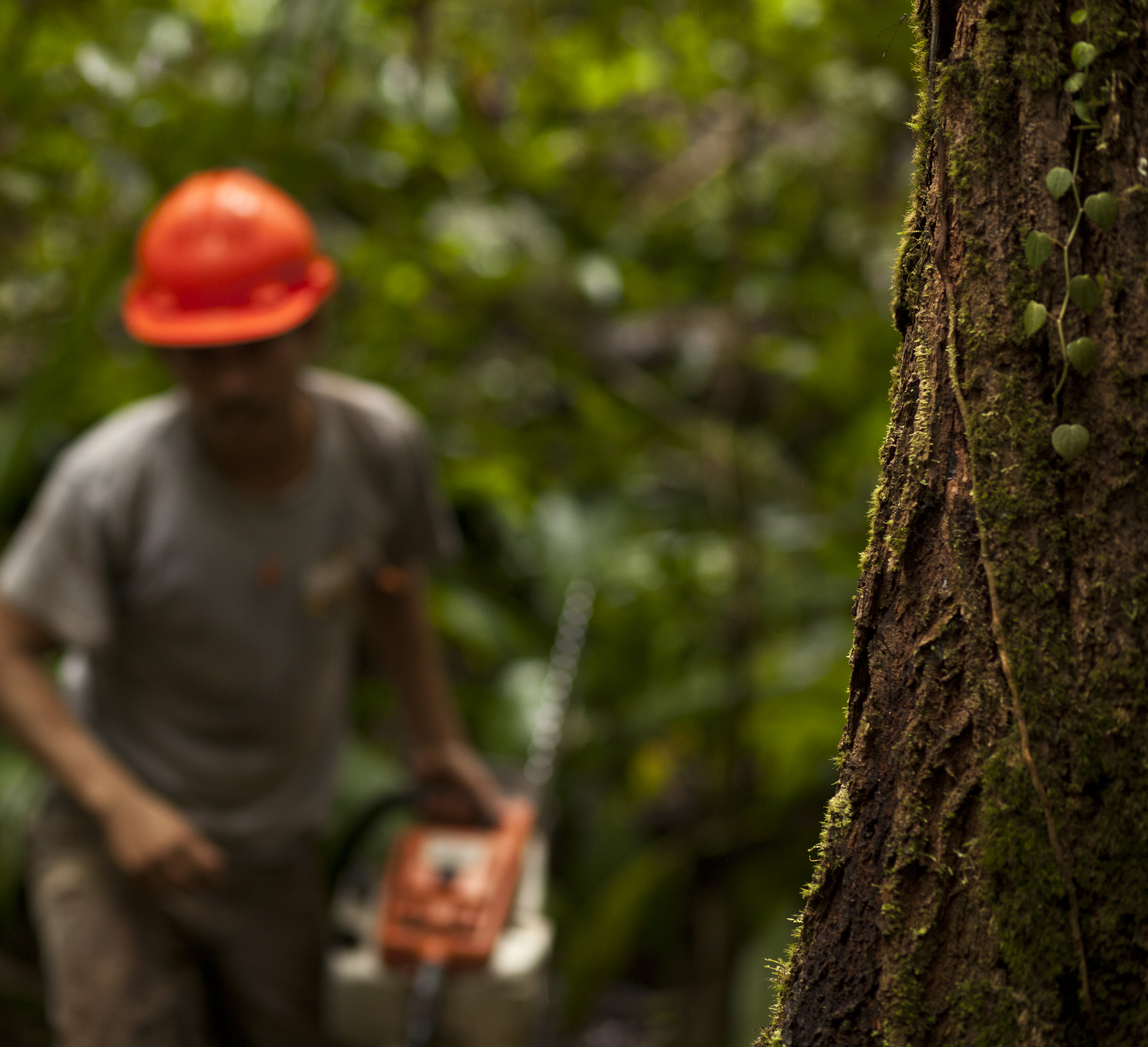 Newly revised standards for certification bodies published and a re-publication of the ...